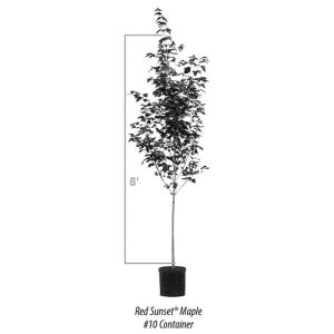 Product Lines - J. Frank Schmidt & Son Co.