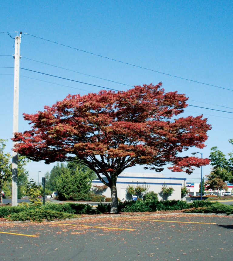 Product Lines - J. Frank Schmidt & Son Co.