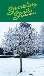 Snowball costume a good fit for Sparkling Sprite® - J. Frank Schmidt ...