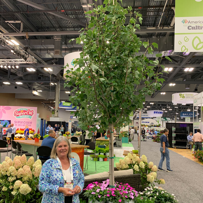 Trees turn heads at Cultivate’23 - J. Frank Schmidt & Son Co.