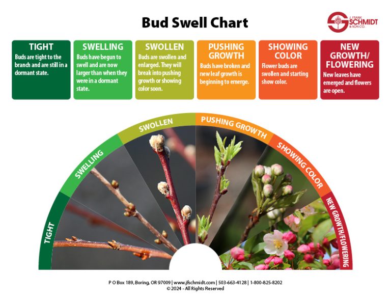 Bud Swell - J. Frank Schmidt & Son Co.