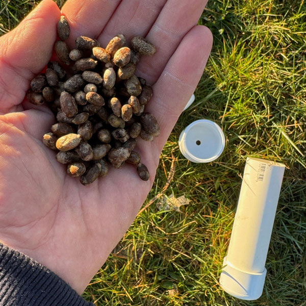 Buzzing benefactors boost pollination - J. Frank Schmidt & Son Co.